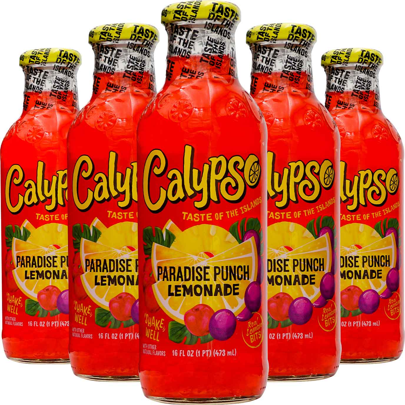 Calypso Paradise Punch Lemonade 473ml 12er Träger Eu Calypso